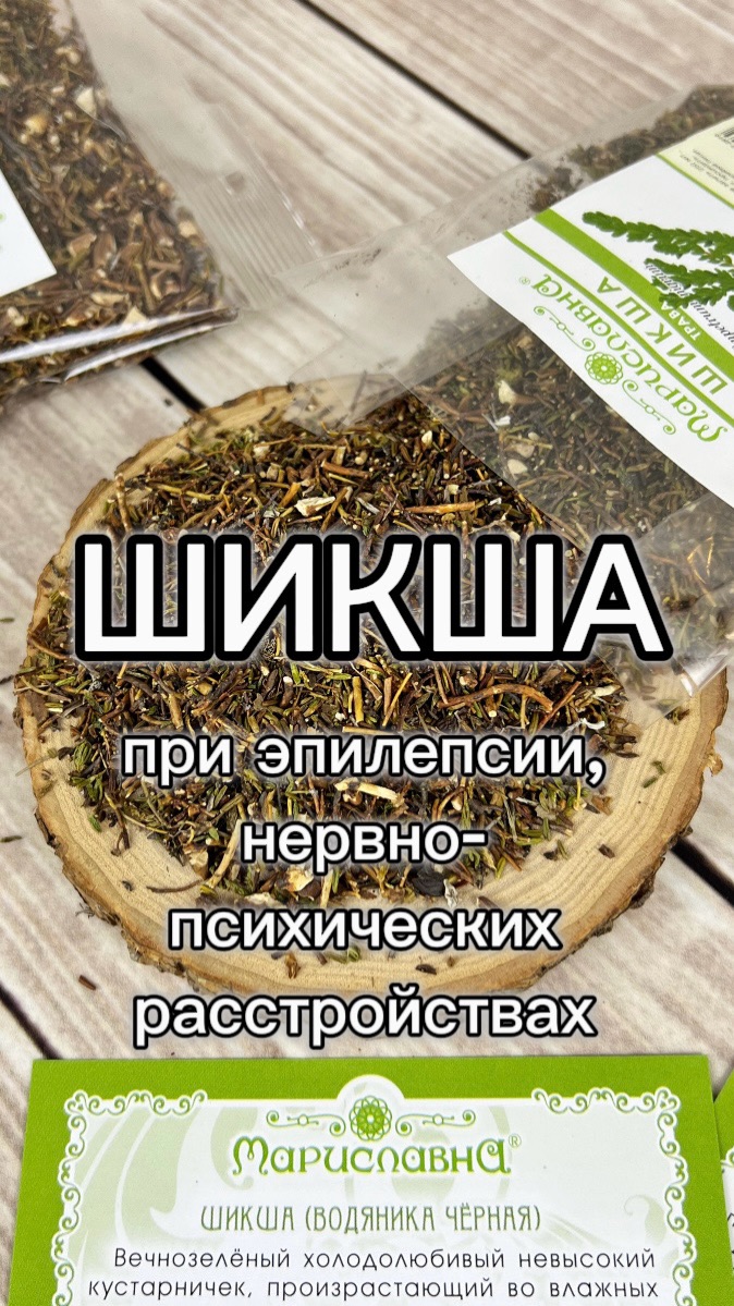 Шикша (водяника черная) при неврозах, эпилепсии