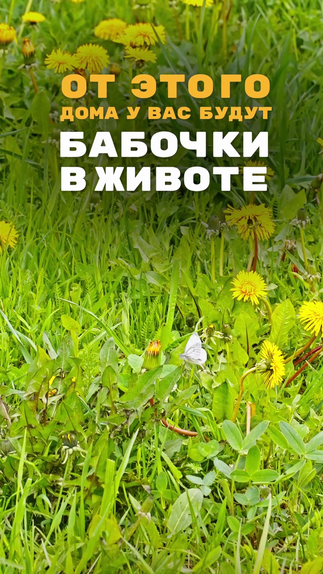 Роскошный каркасный дом с большой террасой и вторым светом в ДНП «Фаворит»!