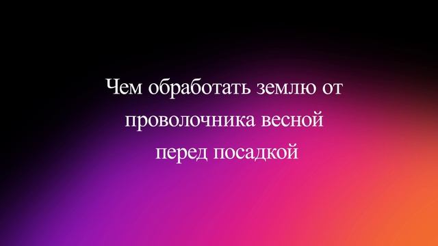 Чем обработать землю от проволочника весной перед посадкой