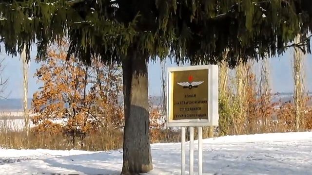 На прогулке с Костиком в городе Семилуки 17.11.2020 - зима наступает! Пойдём на три самолёта!