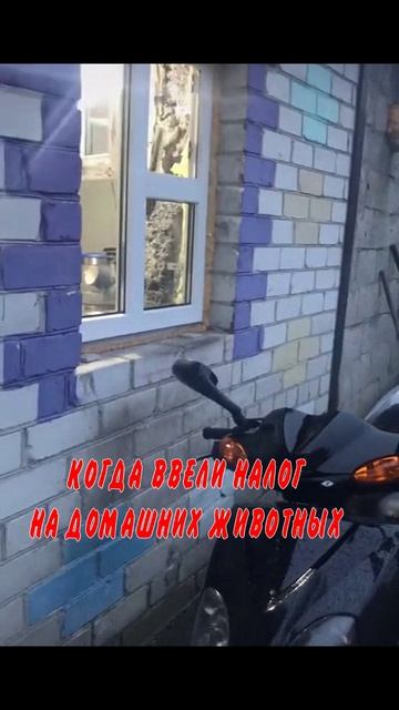 Юмор 5 звезд - #юмор #смешно #ржач #прикол #анекдот #веселоевидео