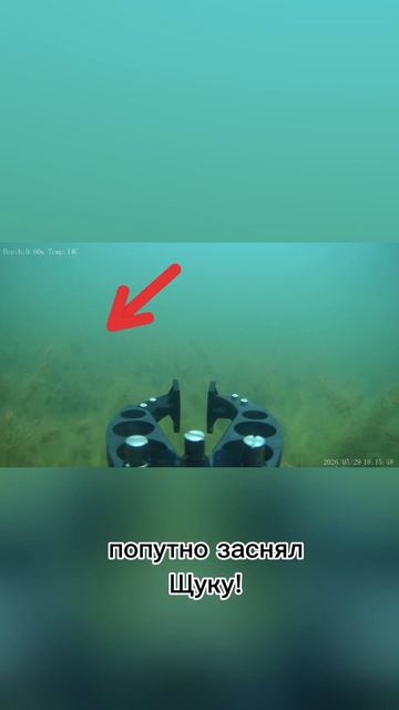 Новый подводный дрон, поднял со дна крышку, изучил пожарный колодец, заснял щуку и кораблекрушение
