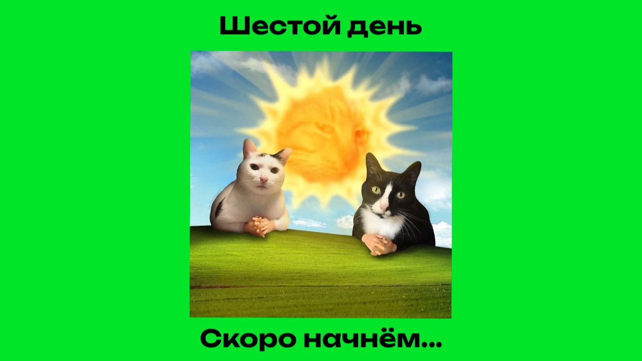 ДЕНЬ № 6. ПоСлЕдНиЙ сТрИм - Задания 1-5, 19