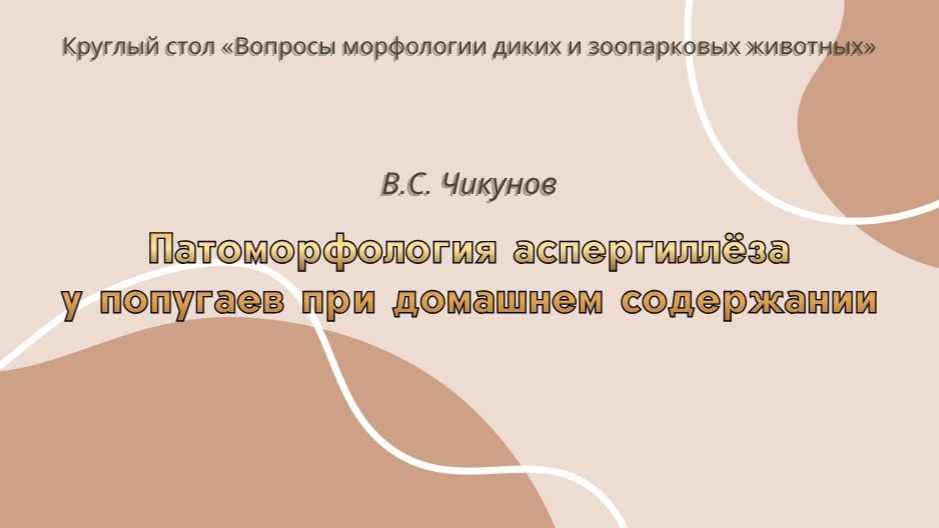 В.С. Чикунов «Патоморфология аспергиллёза у попугаев при домашнем содержании»