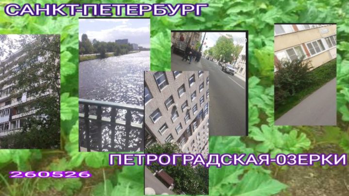 САНКТ-ПЕТЕРБУРГ_ПЕТРОГРАДСКАЯ-ОЗЕРКИ-260526