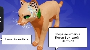 ВПЕРВЫЕ ИГРАЮ В КОТОВ ВОИТЕЛЕЙ В РОБЛОКС ЧАСТЬ 1!/Я в шоке от этой имбы😍/💠 Proxy 💠АВ/КВ