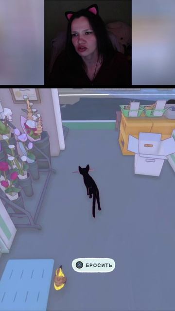 Агрессивный котик #shorts #LittleKittyBigCity