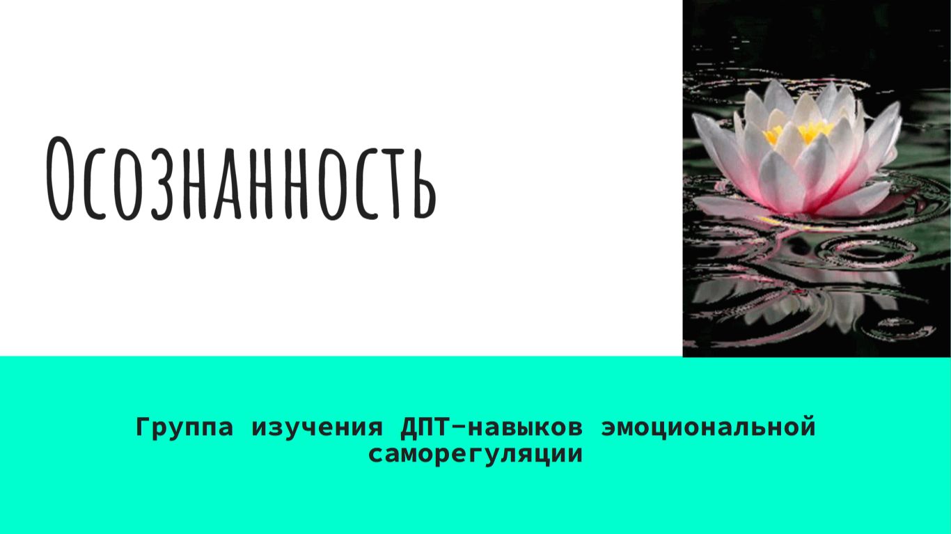 2 Осознанность ДПТ Навыки эмоциональной регуляции