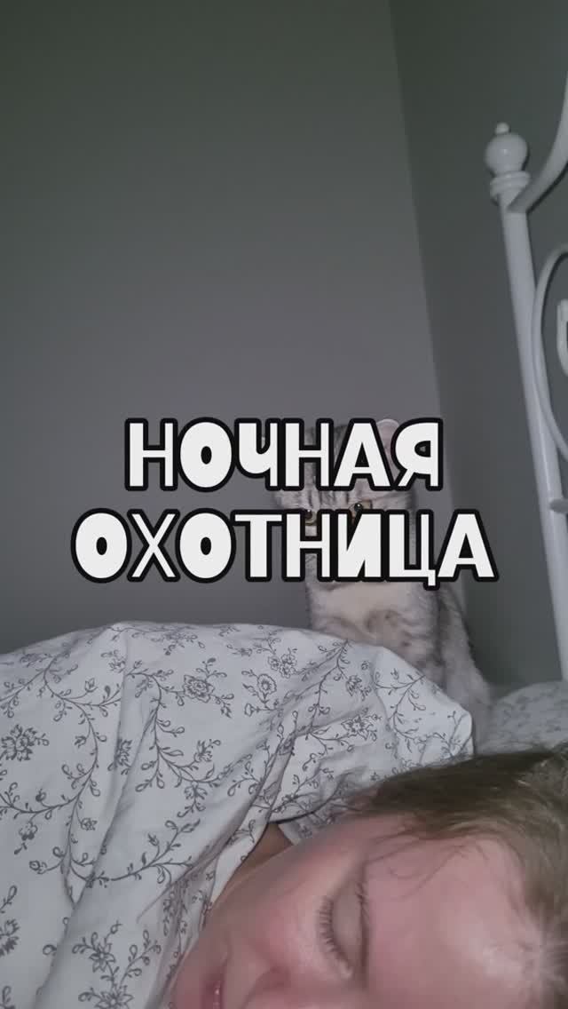 Ночная охотница