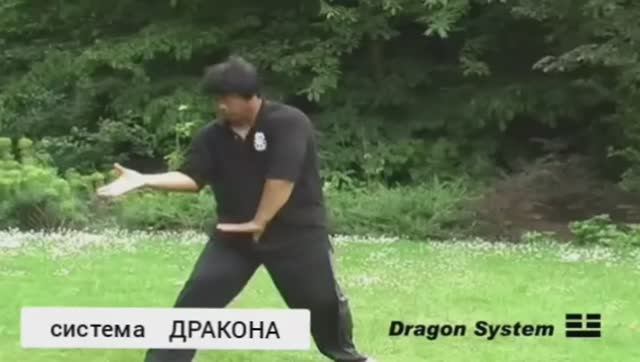 Система Дракона. Хэ Цзиньбао