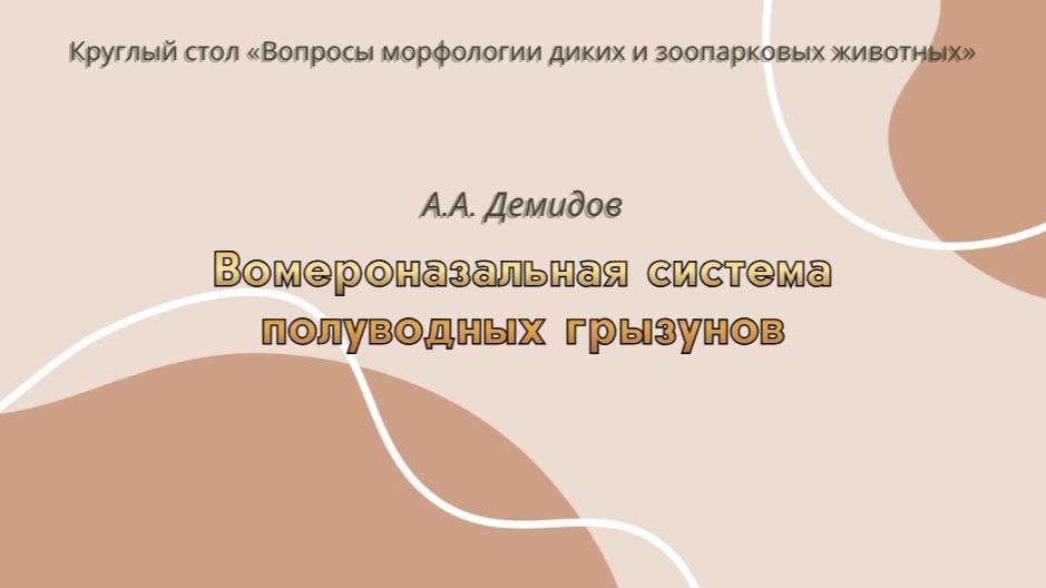 А.А. Демидов «Вомероназальная система полуводных грызунов»