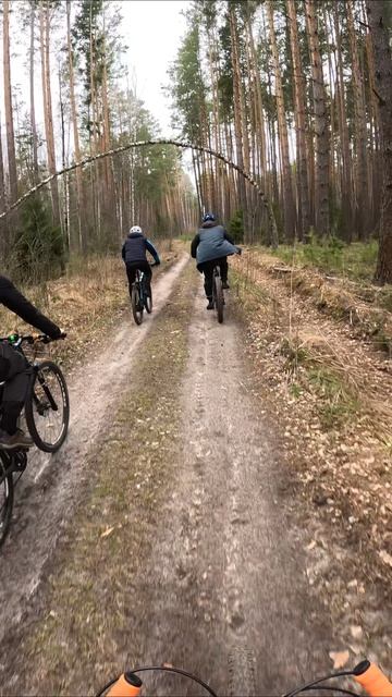 Едем по лесу - хорошо, приятно, только силы быстро тратятся #велопоездка #велосипед #Тюмень