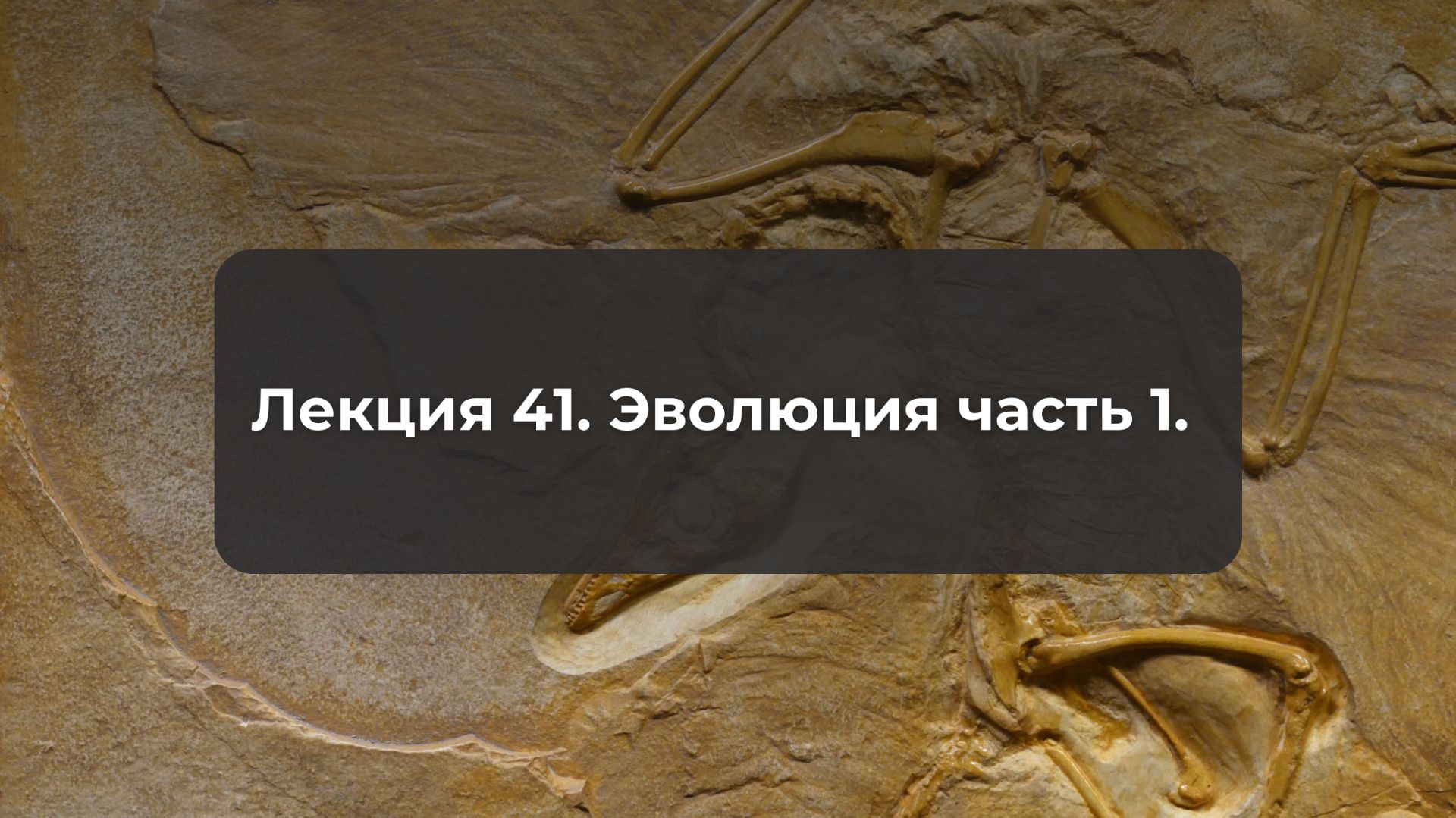 Лекция 41. Эволюция ЧАСТЬ 1