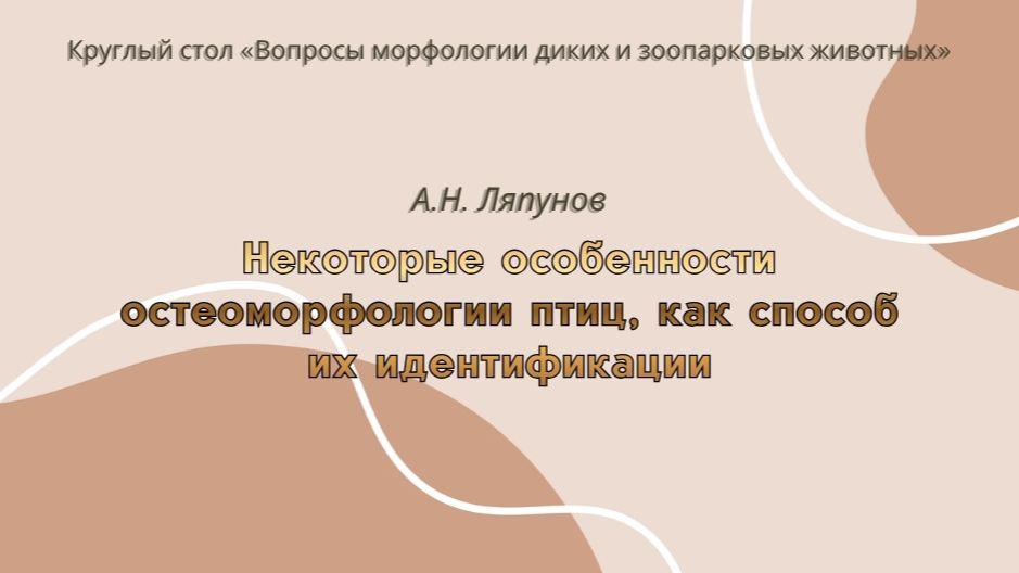 А.Н. Ляпунов «Некоторые особенности остеоморфологии птиц как способ их идентификации»