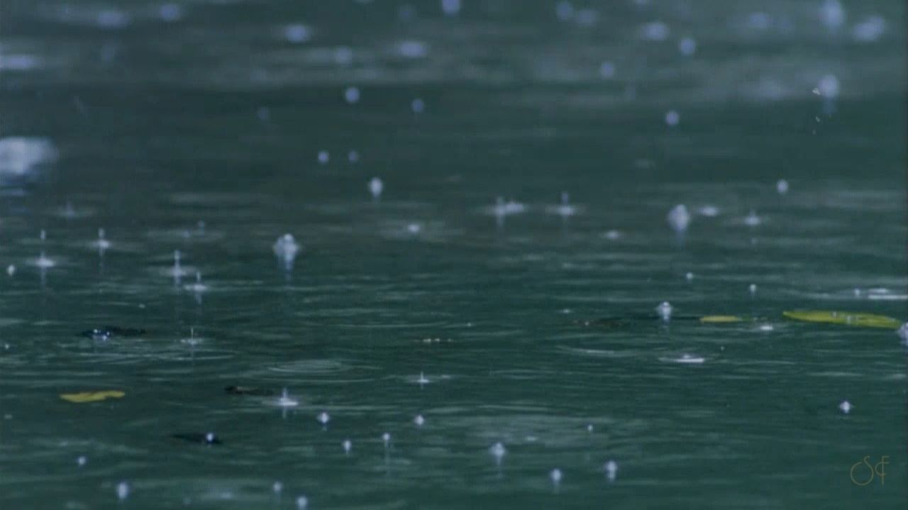 Mehdi - Heavens rain