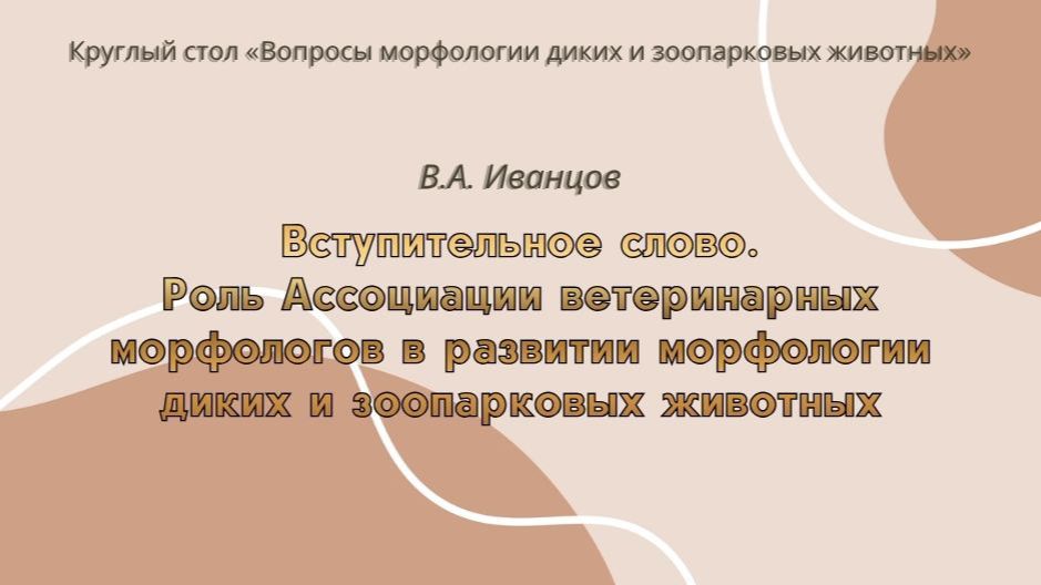 В.А. Иванцов. Вступительное слово. Роль Ассоциации ветеринарных морфологов...
