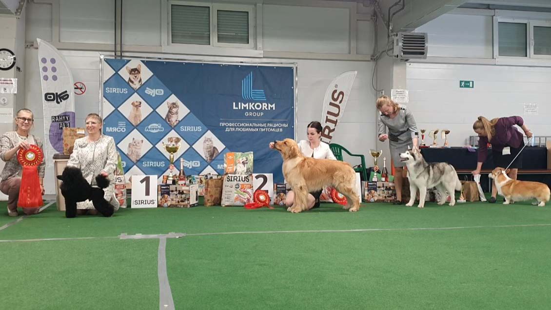 17.05.2026, СПб. Клуб "Элита". (САС, ОАНКОО). Выставка собак "КУБОК ЭЛИТЫ" (САС, ЧФ)