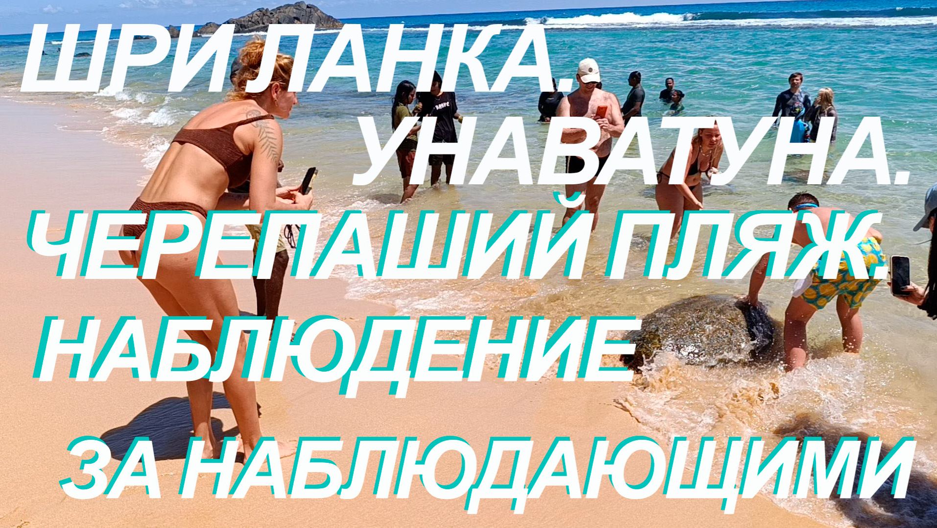 Шри-Ланка. Унаватуна. Черепаший пляж. Наблюдение за наблюдающими за черепахами