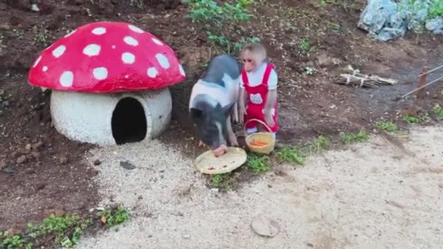 Жизнь маленькой обезьянки 15часть!! свинка убежала??