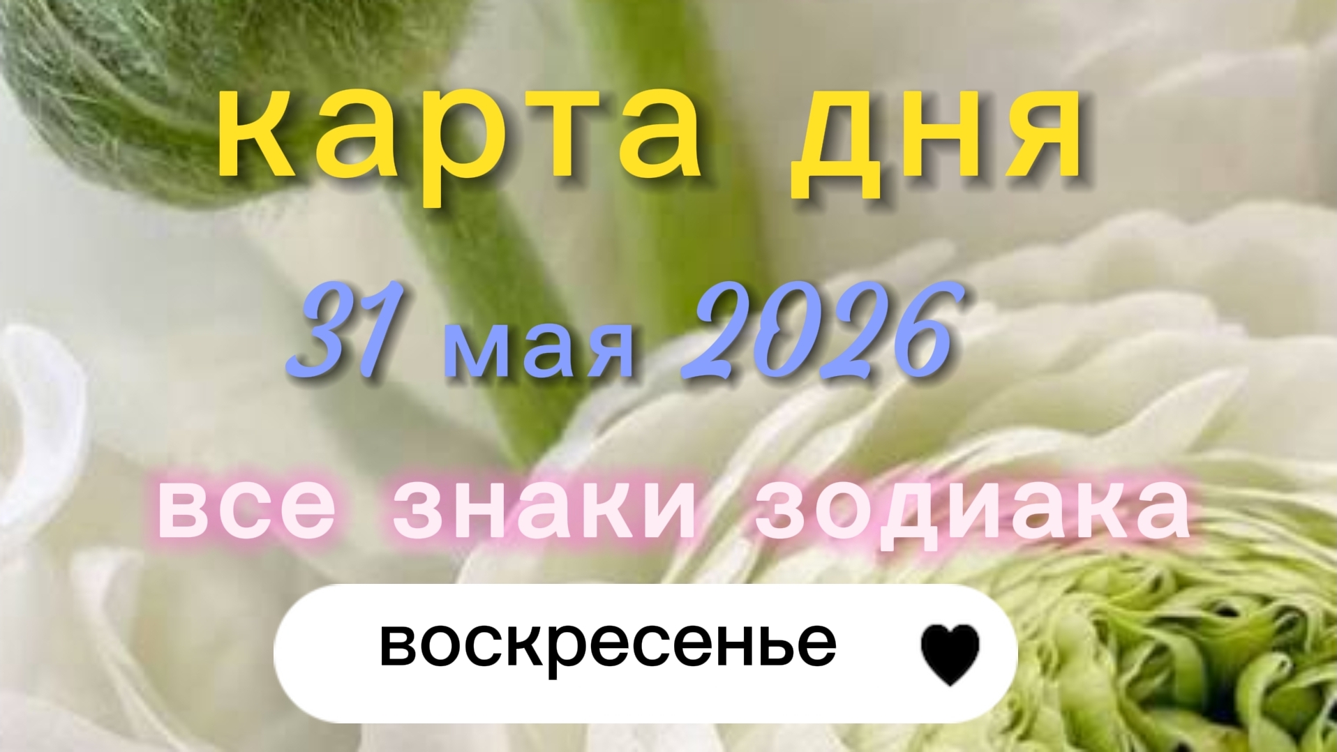 Карта дня на 31-05-2026. Все знаки зодиака
