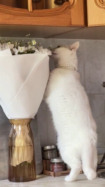 Милка и цветы