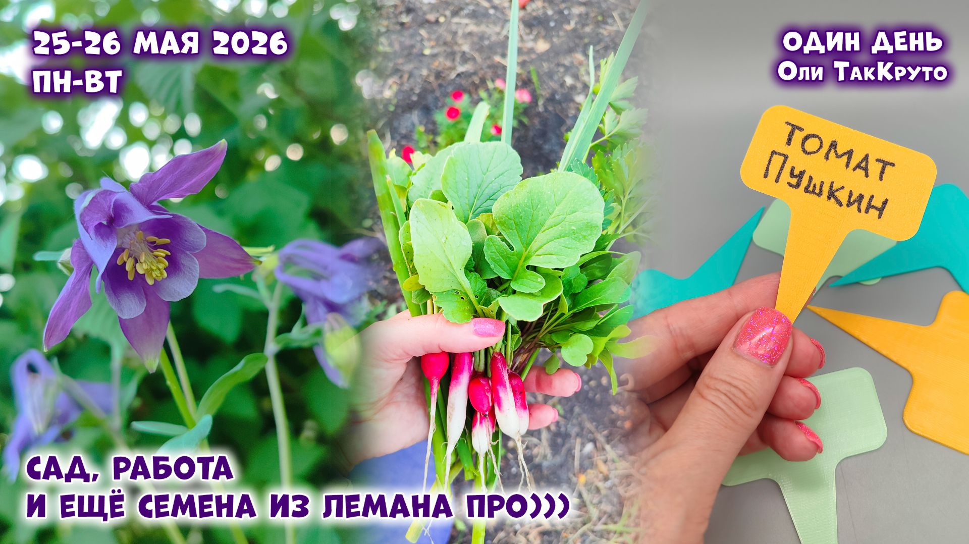 Купила ещё семена в Лемана Про😂 Продолжаем восстанавливать сад. 25-26 мая 2026. Дни с Олей ТакКруто