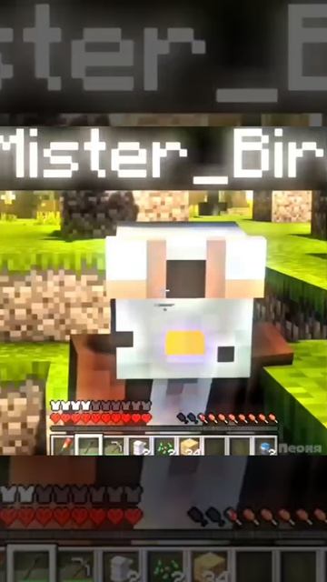Эдит про Mister_Bird(за старание поставь лайк и подпишись, пожалуйста 🥺🥺🥺)