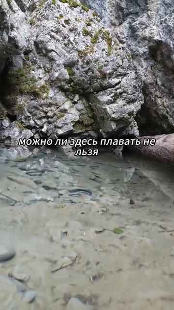 #популярное