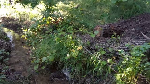 VID_20260528_182245
