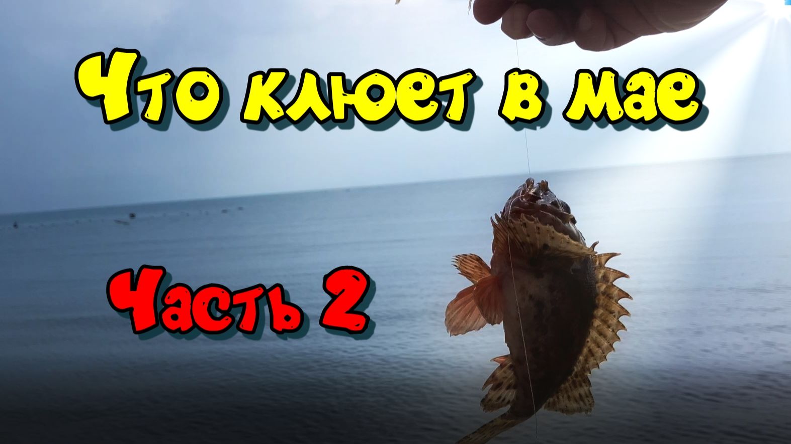 Сюрпризы погоды. Что клюет в мае на Черном море. Часть 2