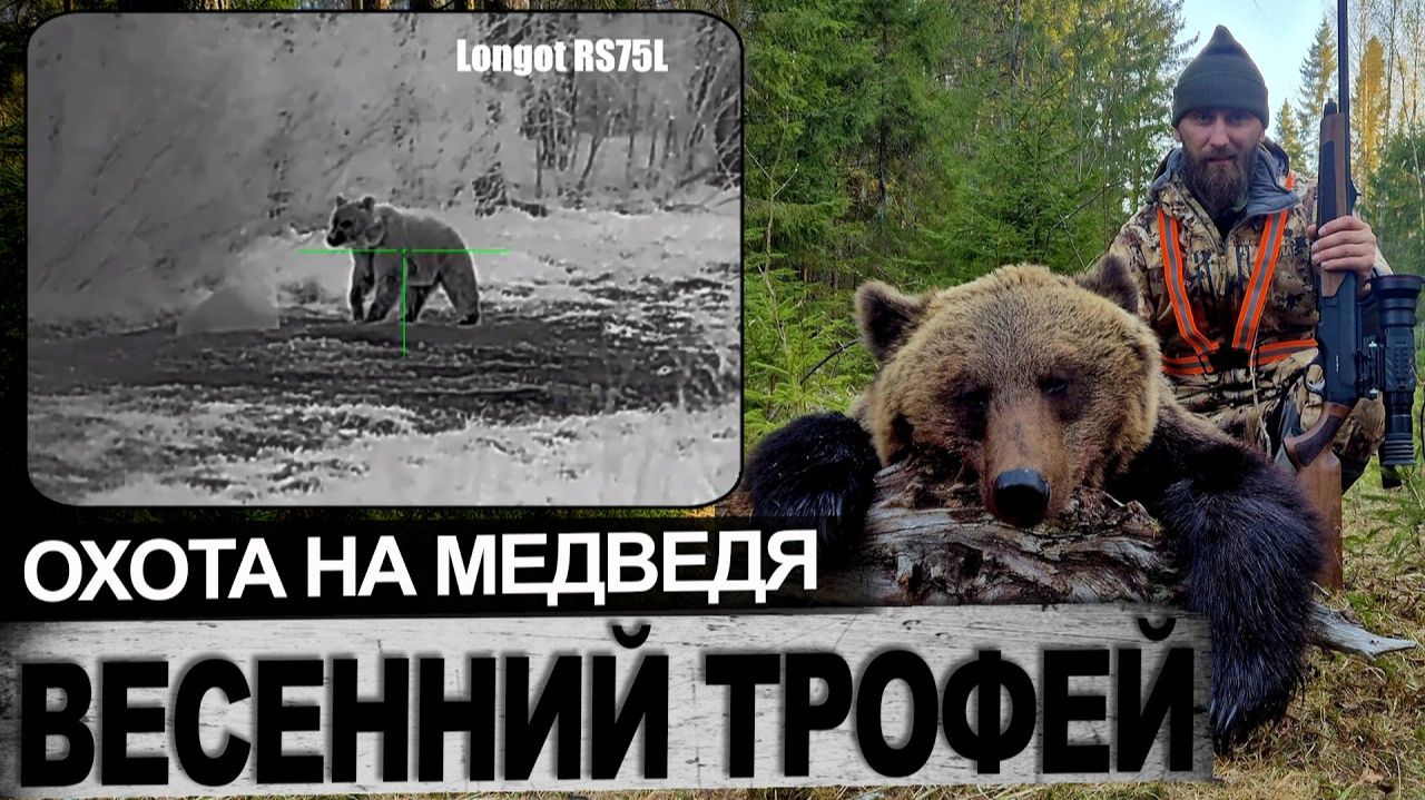 Охота на Медведя в Карелии