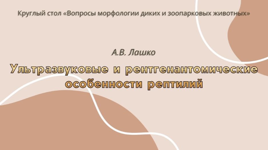А.В. Лашко «Ультразвуковые и рентгенантомические особенности рептилий»
