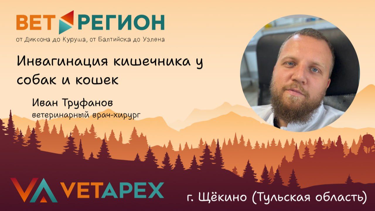 ВетРегион. Иван Труфанов "Инвагинация кишечника у собак и кошек"