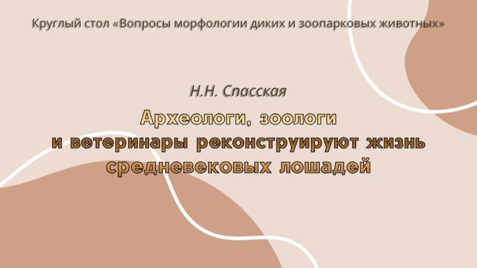 Н.Н. Спасская «Археологи, зоологи и ветеринары реконструируют жизнь средневековых лошадей»