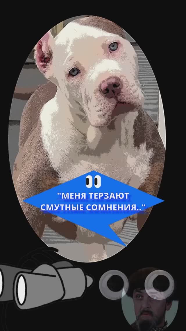 Меня терзают смутные сомнения Бунша Милославский #кино #фильм #юмор  #видео