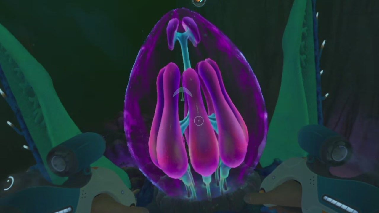 Охота на цветы и новое зрение. Subnautica 2 #16