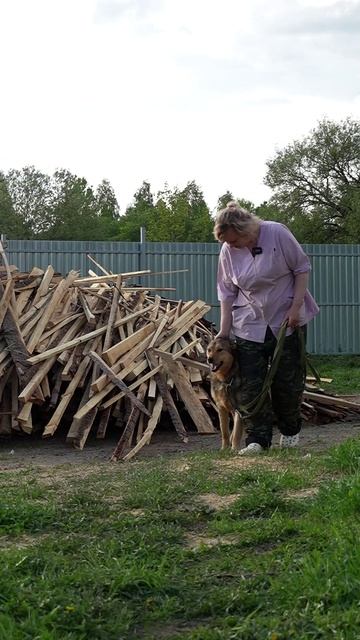 Булочка ищет дом: очаровательная собачка с необычным увлечением 🐶❤️