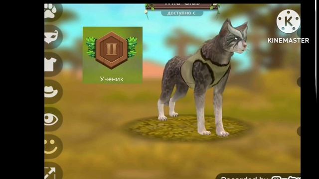 Какие у моей систер и какие у меня! Wildcraft