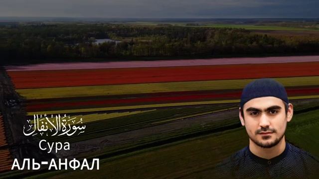 08.Surah " Al-Anfal "