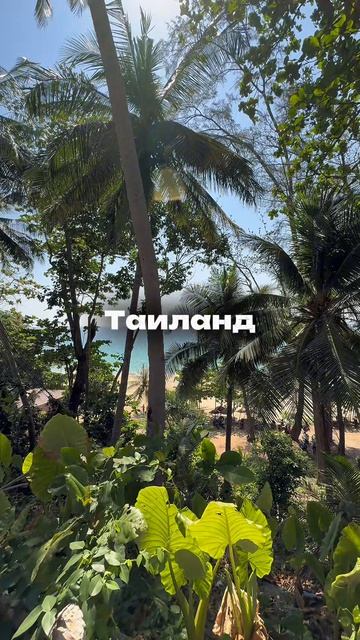 МЕСТО ВЕЧНОГО ЛЕТА: ТАИЛАНД