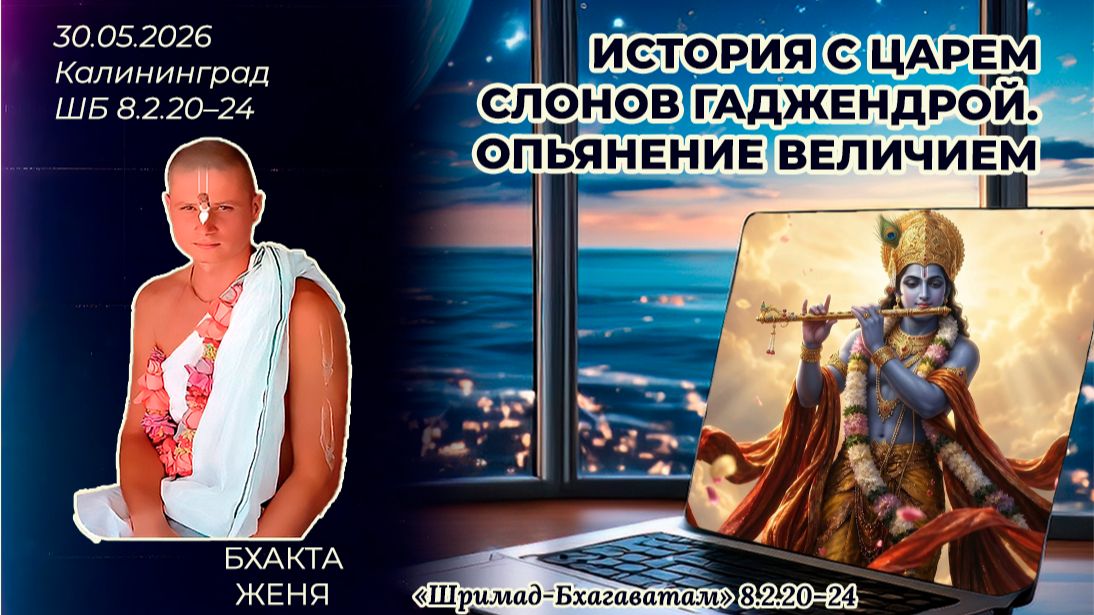 История с царем слонов Гаджендрой. Опьянение величием. Бхакта Женя. «Шримад-Бхагаватам» 8.2.20–24