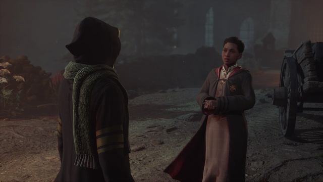 Hogwarts Legacy  прилегающие территории.