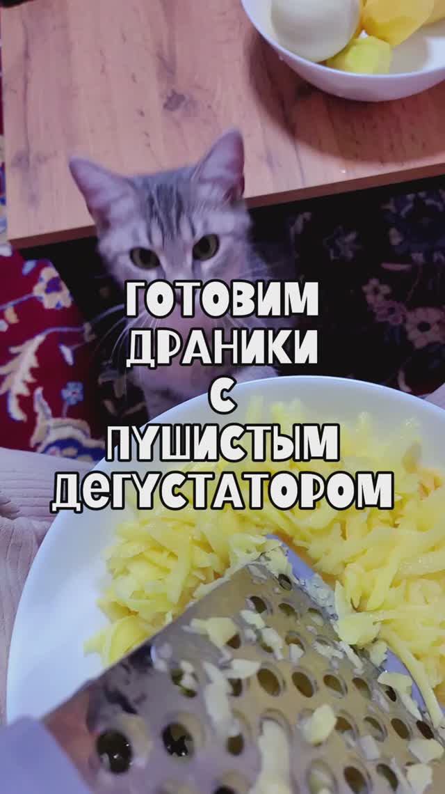Готовим драники с пушистым дегустатором
