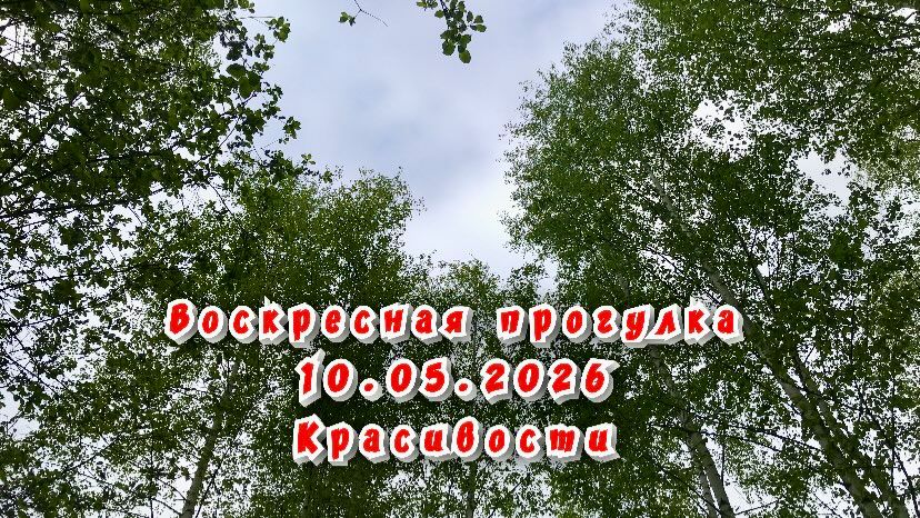 Воскресная прогулка 10.05.2026. Красивульки в Веризино