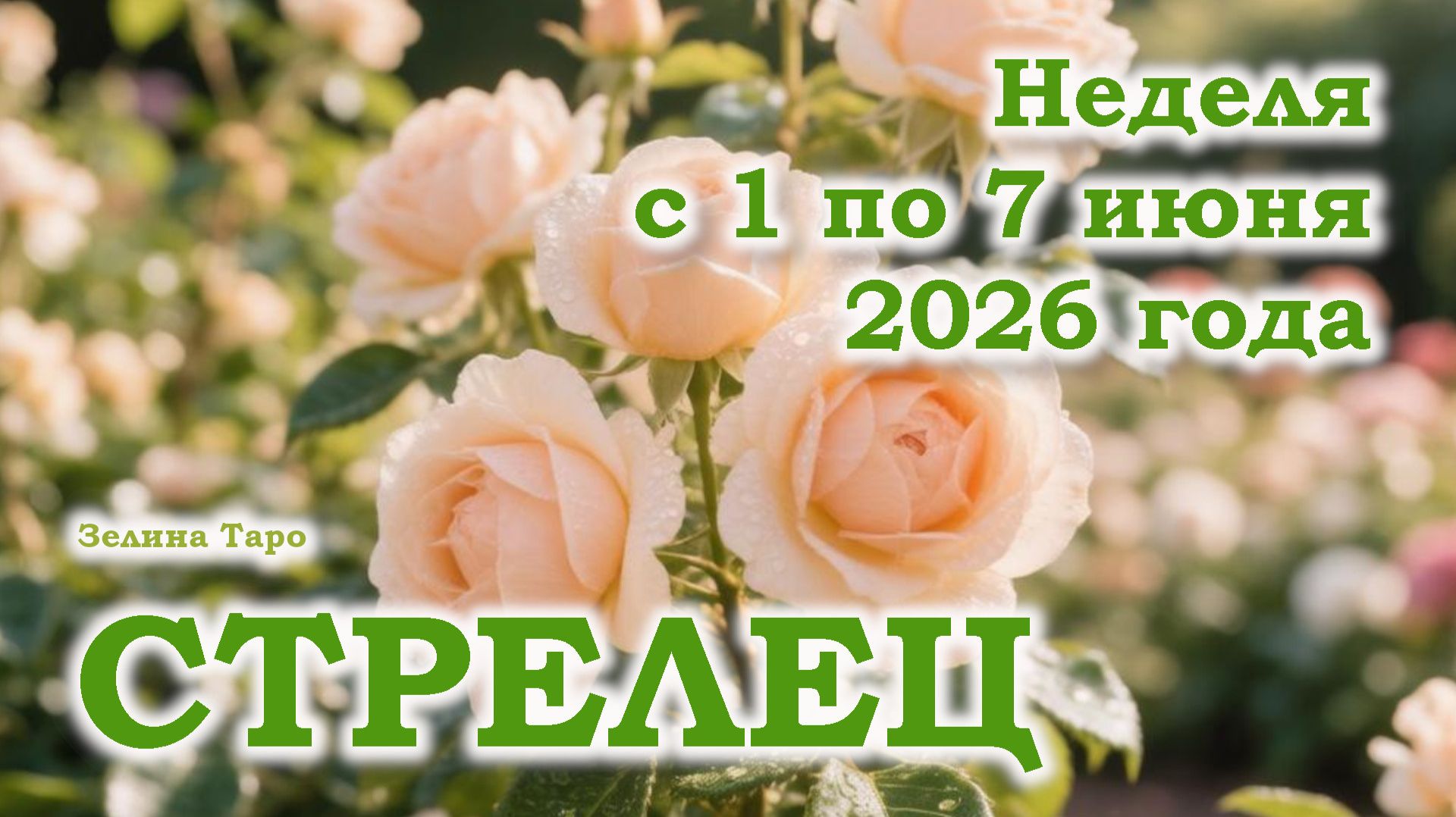 СТРЕЛЕЦ | ТАРО прогноз на неделю с 1 по 7 июня 2026 года