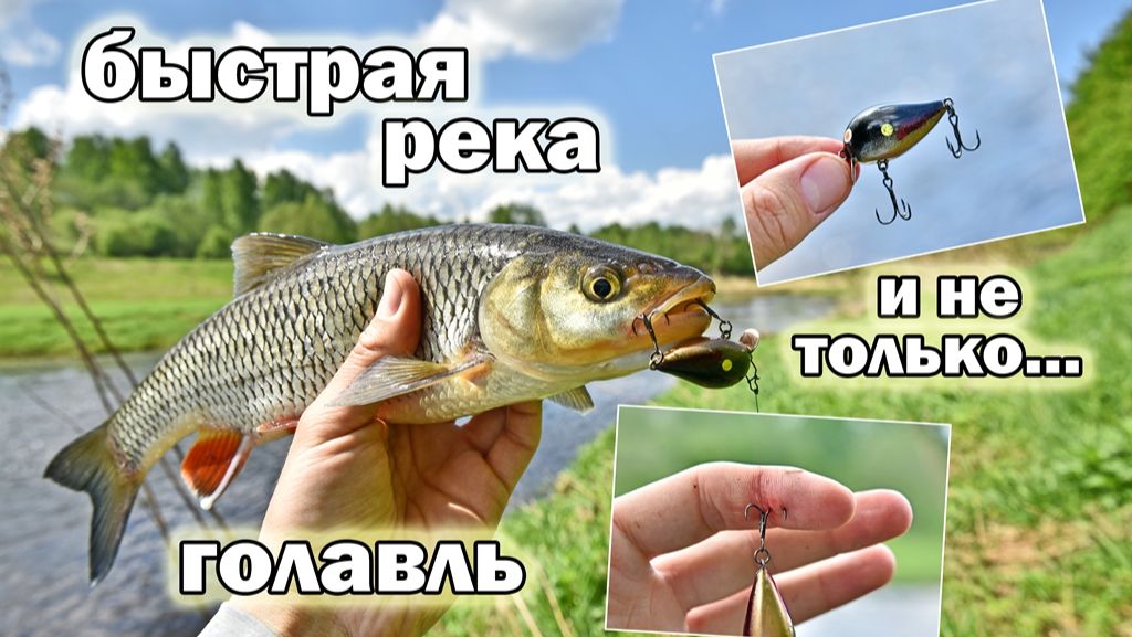 Опасные приключения быстрой реки