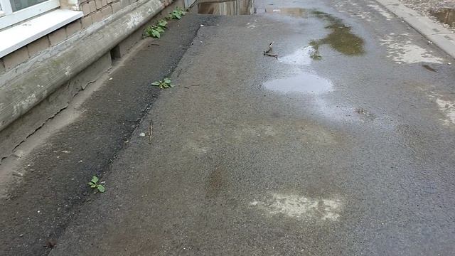 VID_20260529_131819947