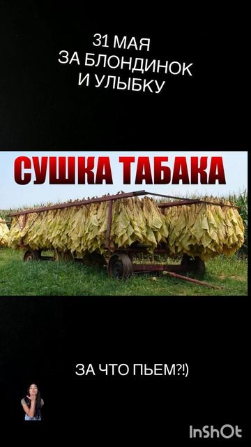 31 мая За что пьем?!)