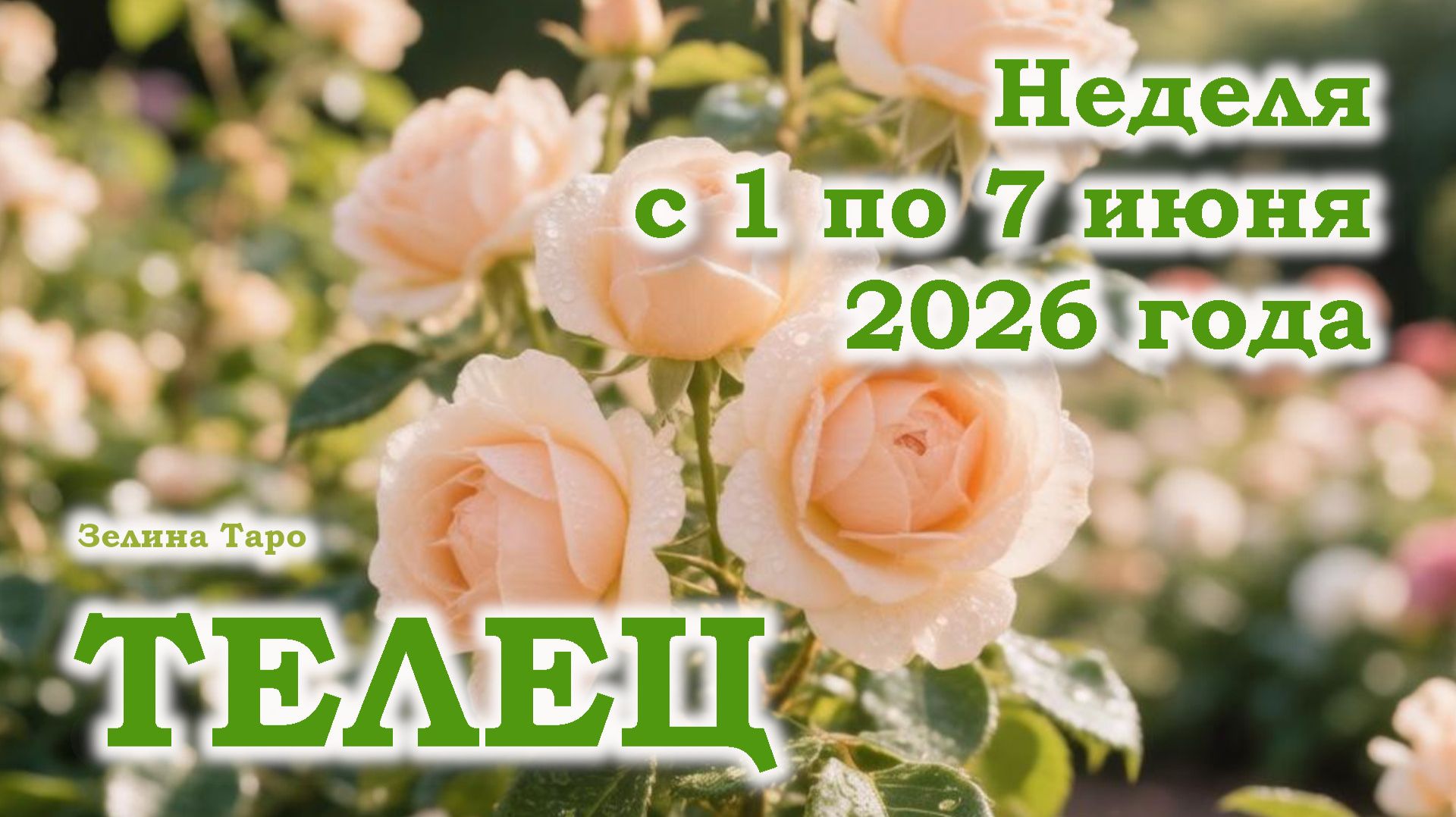 ТЕЛЕЦ | ТАРО прогноз на неделю с 1 по 7 июня 2026 года