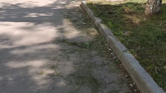 VID_20260531_123516538